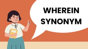 Wherein Synonym: A Formal Guide with Practical Examples - Invetopeda